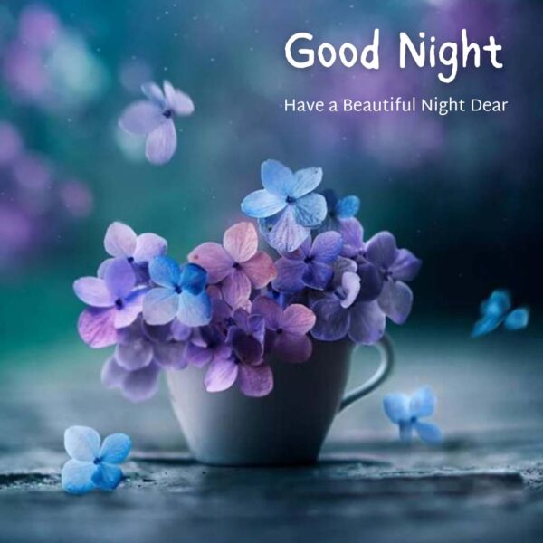 1001+ Romantic Good Night Love Images For Him & Her 2025